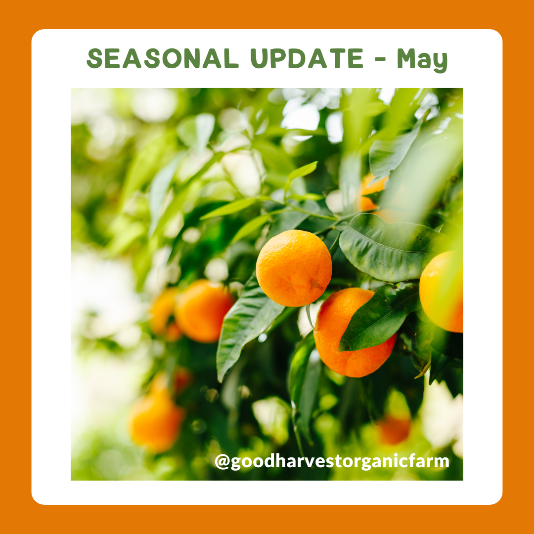 May Seasonal Update