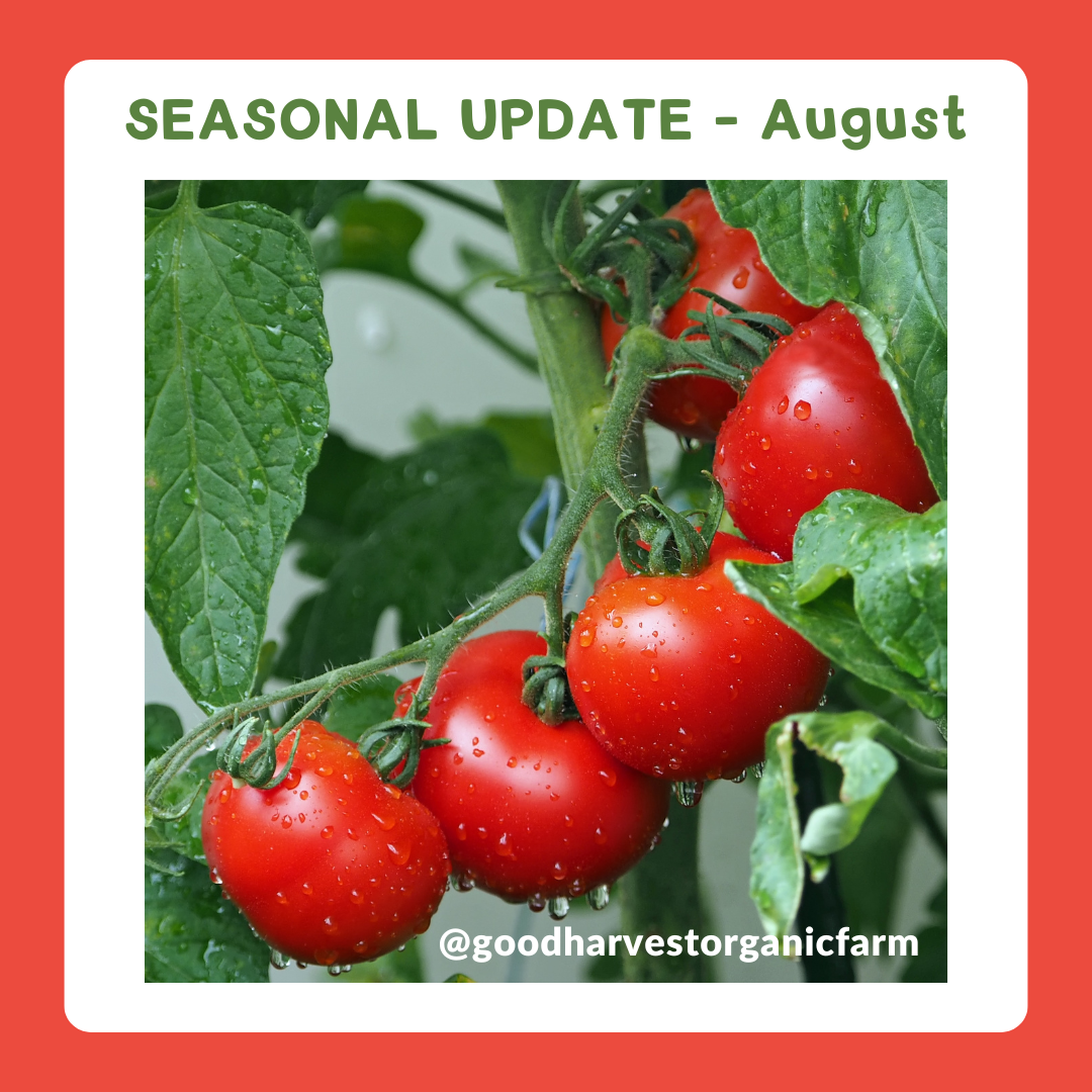 August Seasonal Update