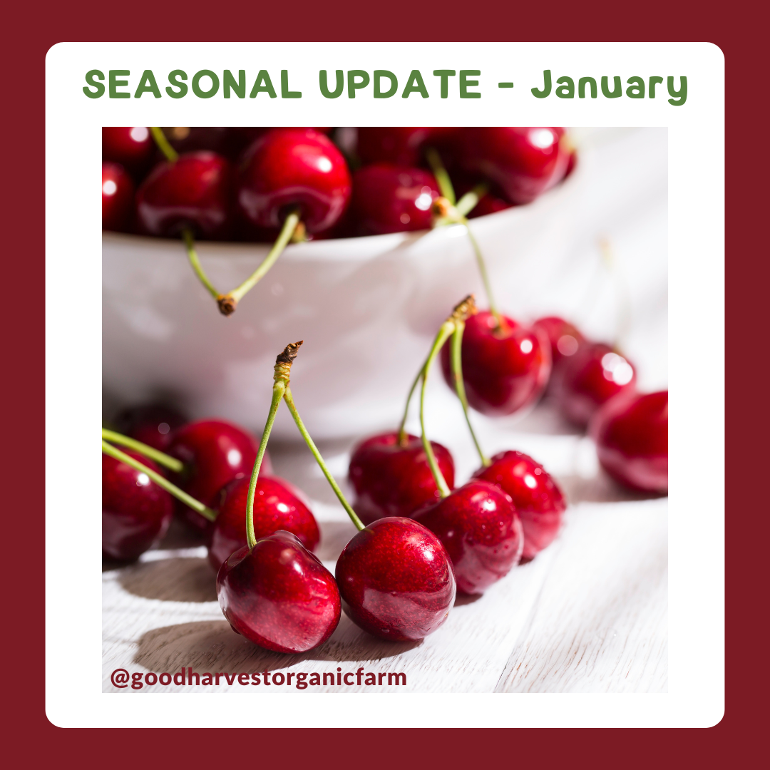 January Seasonal Update