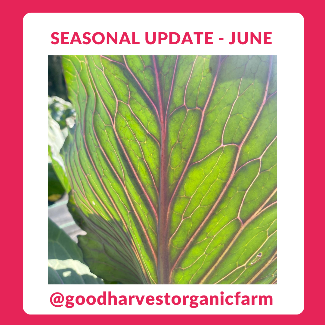 June Seasonal Update