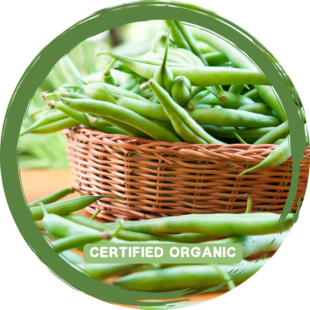 Beans Green 250gm - Certified Organic