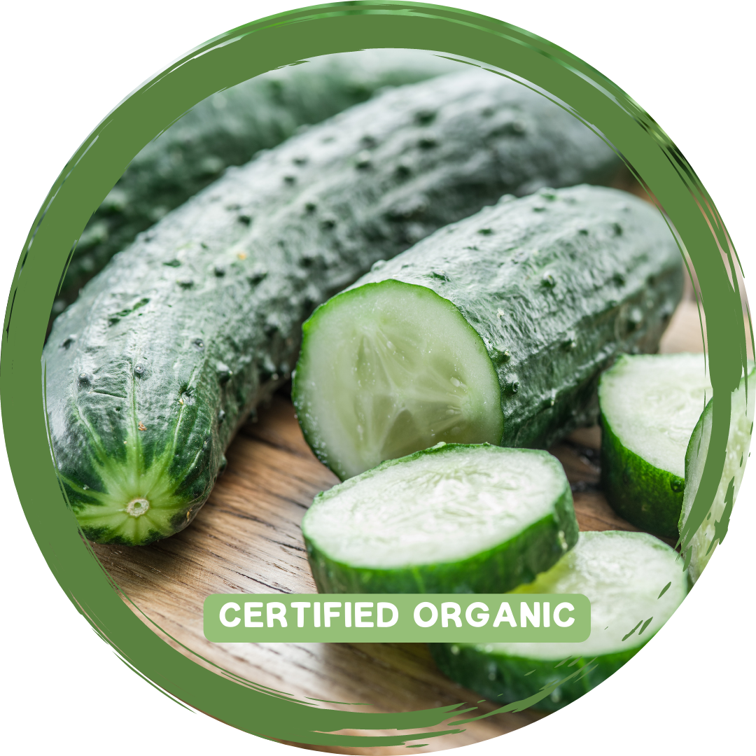 Cucumber - Certified Organic