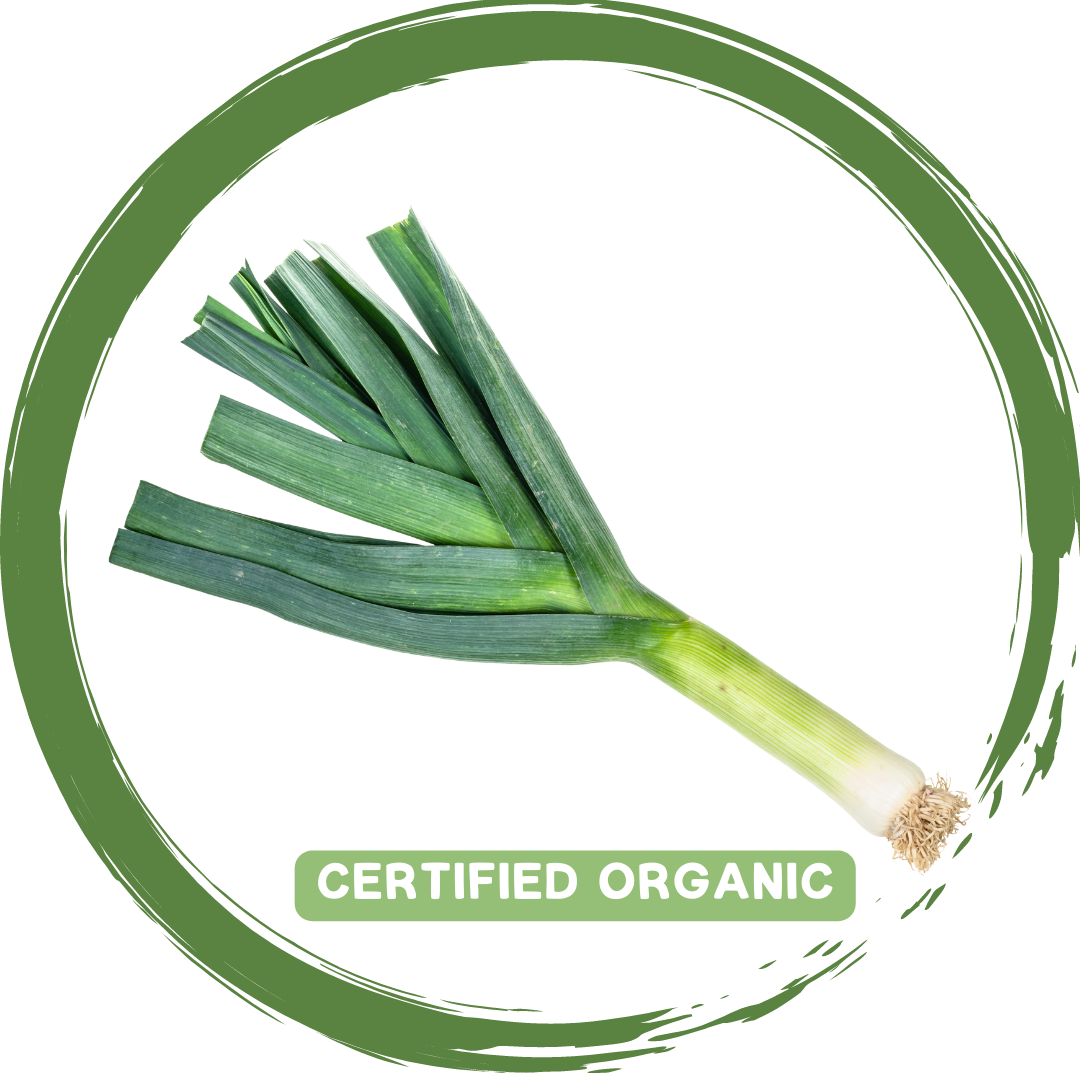 Leek Single- Certified Organic_