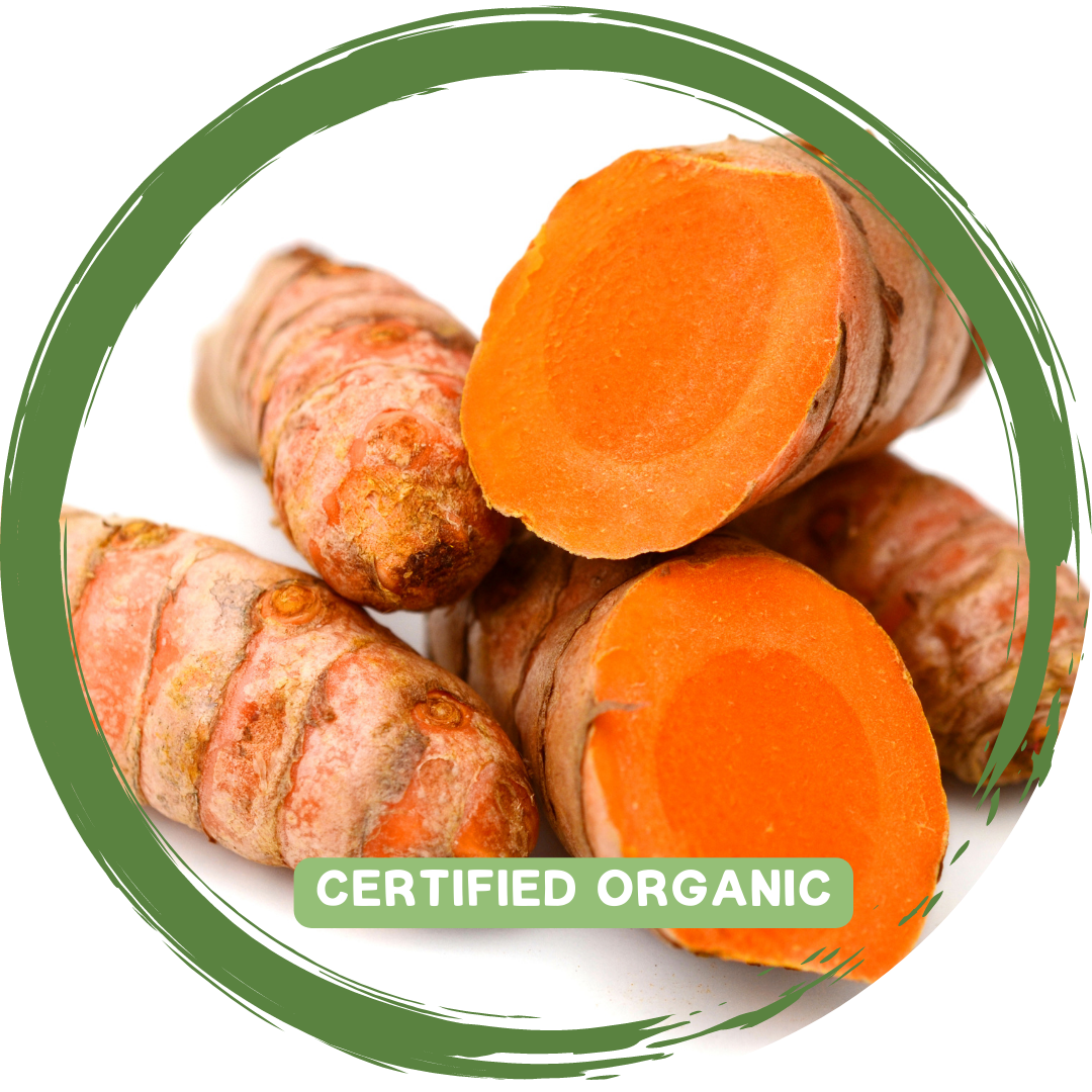 Turmeric 100gm - Certified Organic, Good Harvest Farm