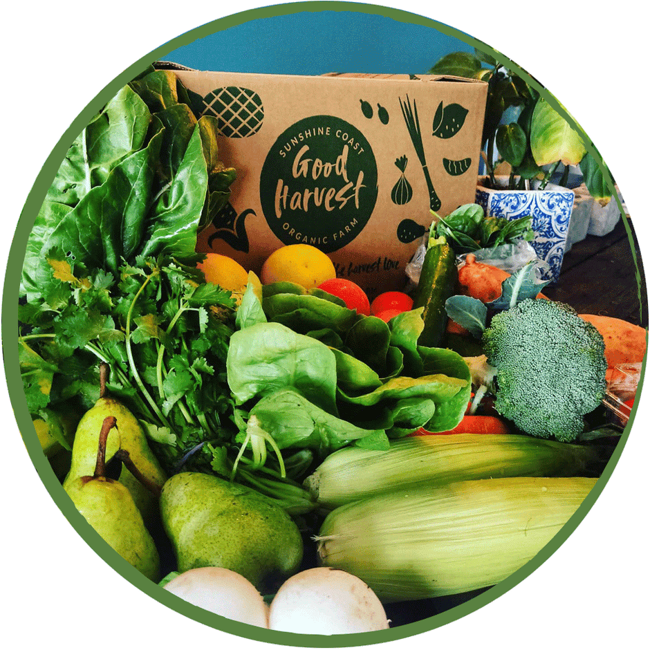 Organic Fruit & Veg Delivered | Sunshine Coast | Good Harvest